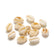 50 Small Cowrie Shell, Natural Sea Shell, Money Shell Bead, Bulk Shell ...